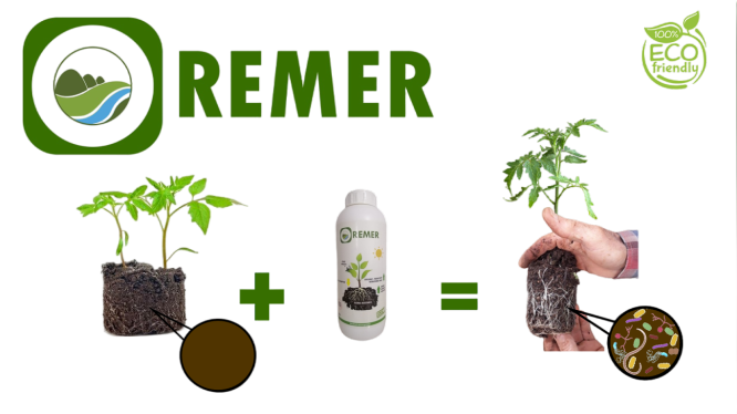 Our Product – Remer For Earth